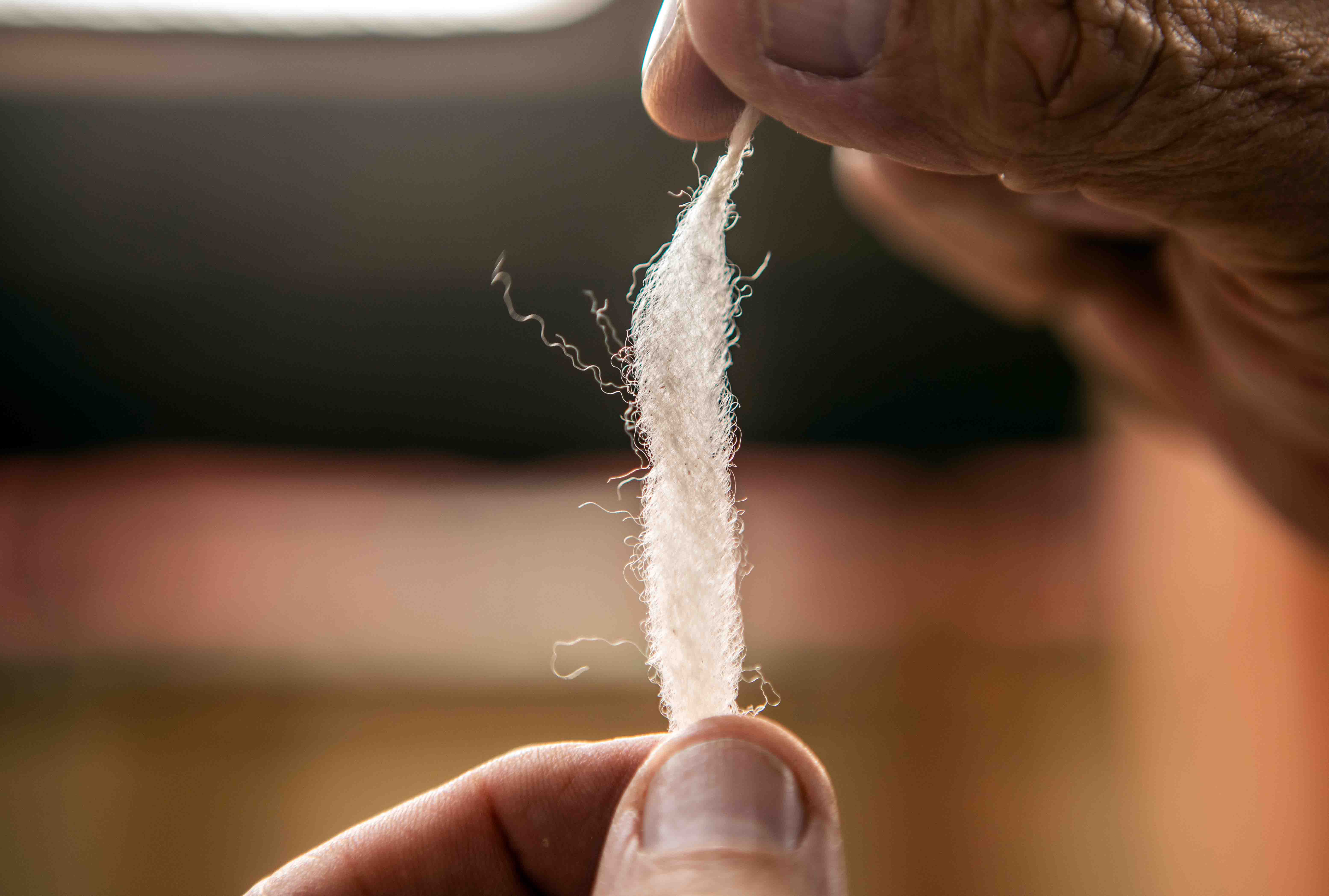 Alpaca Fiber vs. Alpaca Wool: The Difference You Need to Know